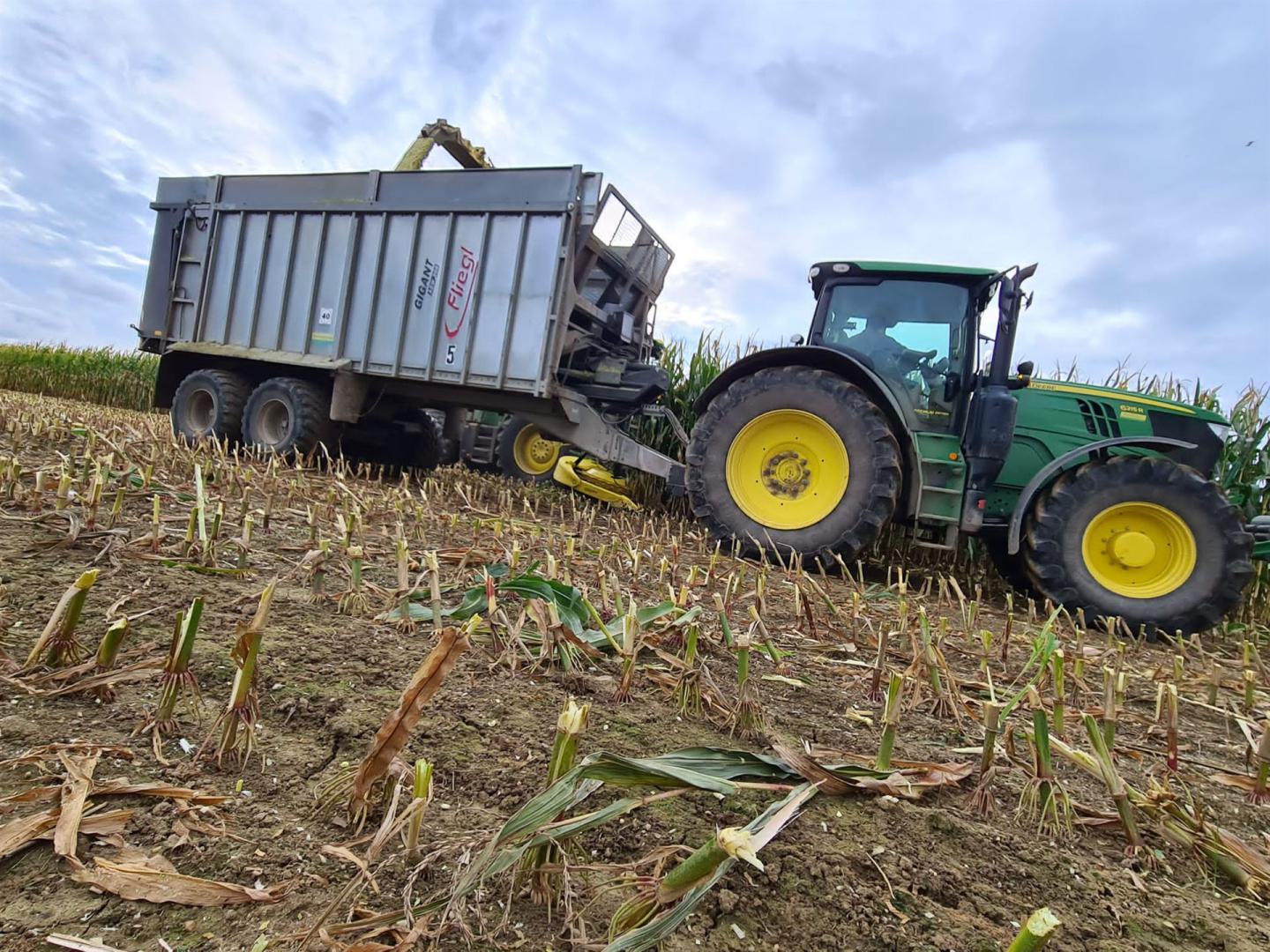 Silage / Getreide